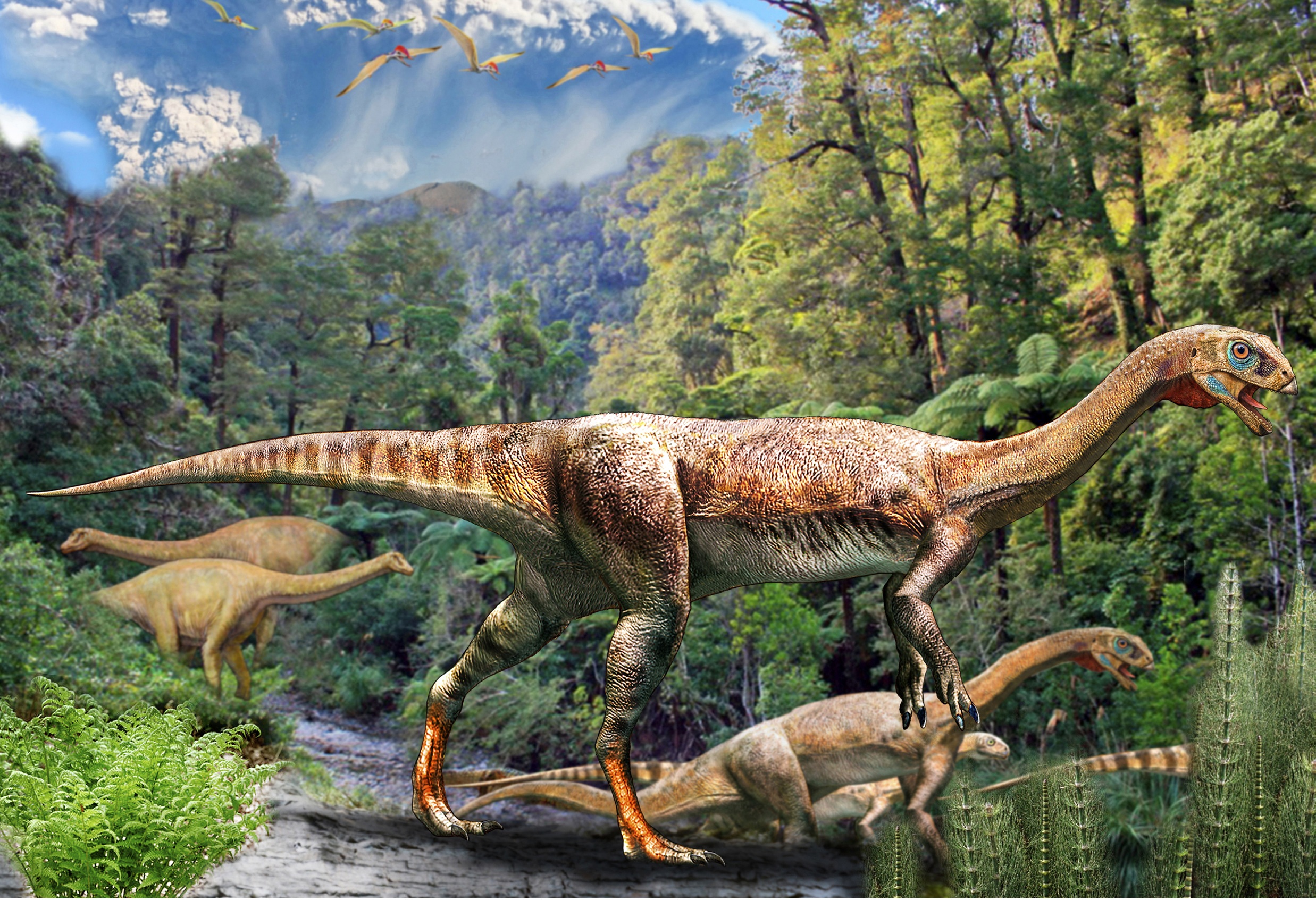 Presentan libro sobre hallazgos de dinosaurios en Chile | Museo del Limarí