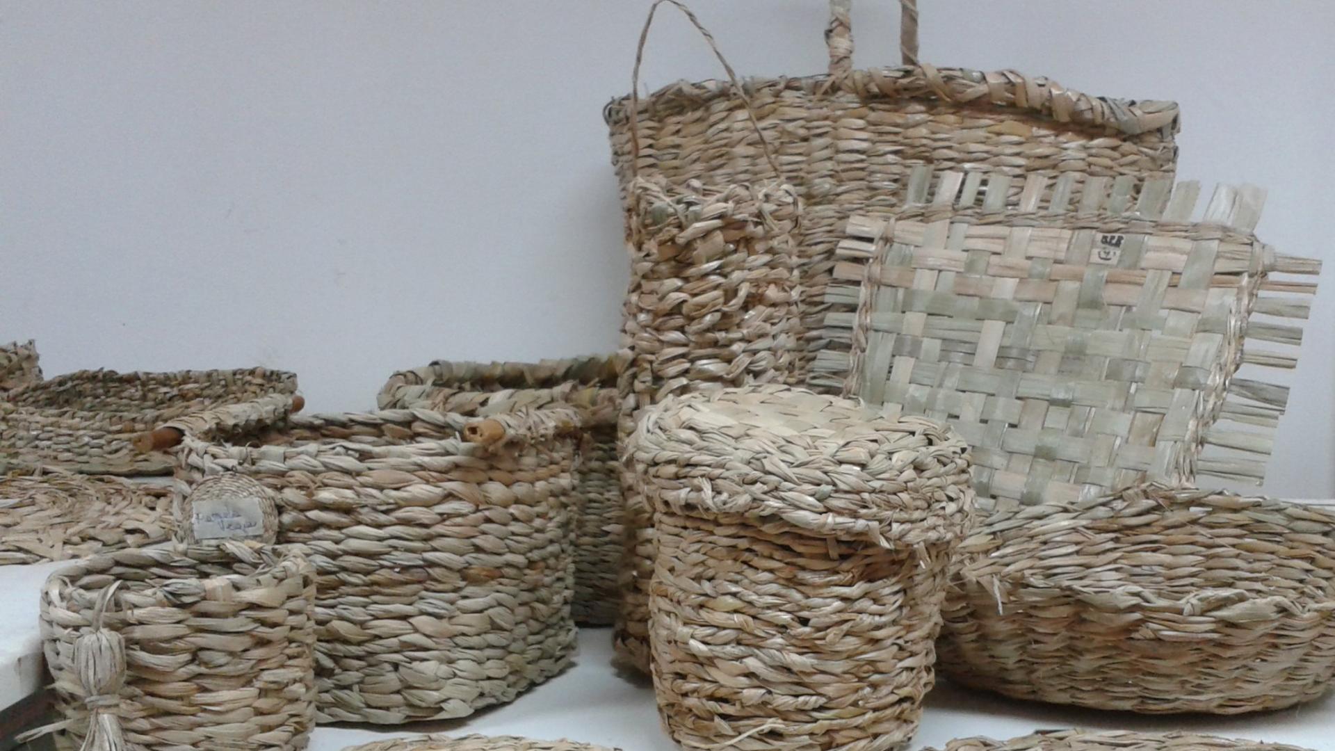 Exposición busca revivir ancestral arte de la cestería | Museo del Limarí